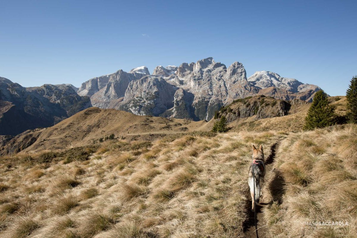 Valle di San Lucano: Casera ai Doff – cresta Palalada | tallulah trekking